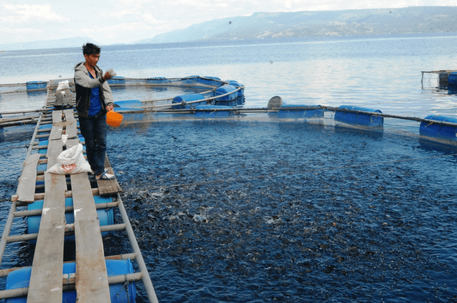 Inovasi Teknologi dalam Industri Perikanan