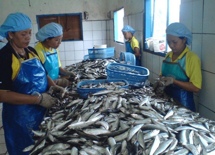 Perdagangan Produk-Produk Perikanan