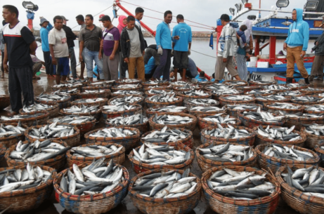 Perdagangan Produk-Produk Perikanan