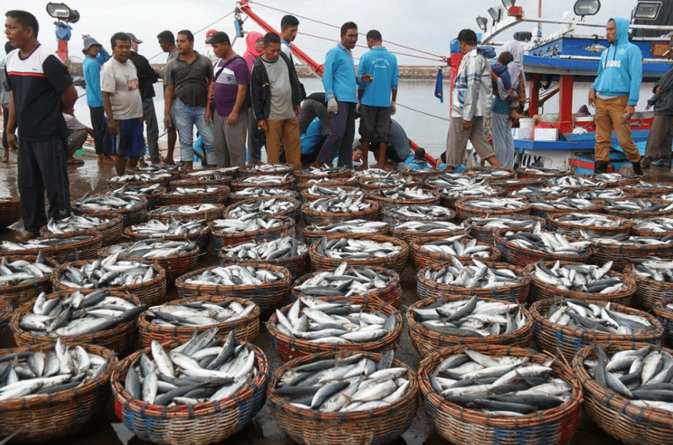 Perdagangan Produk-Produk Perikanan